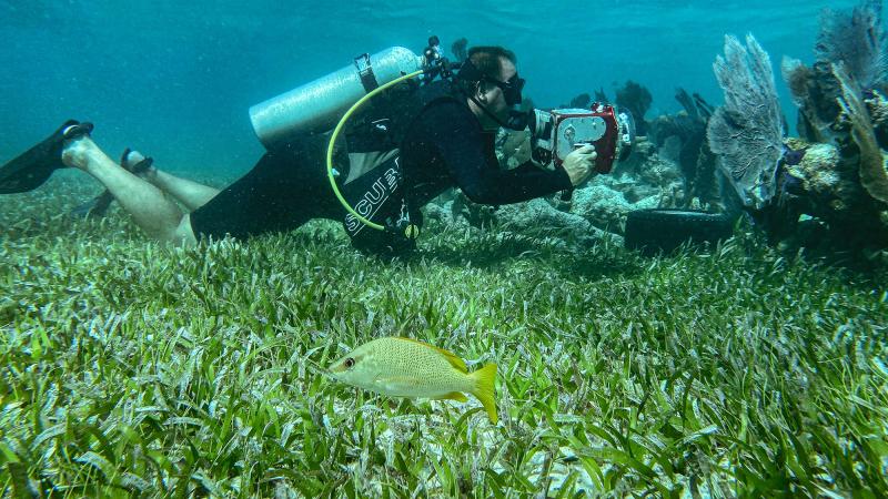 Mountainfilm Festival Films | Mountainfilm