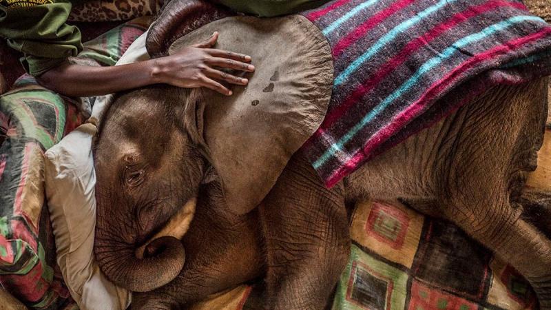 Mountainfilm Festival Films | Mountainfilm